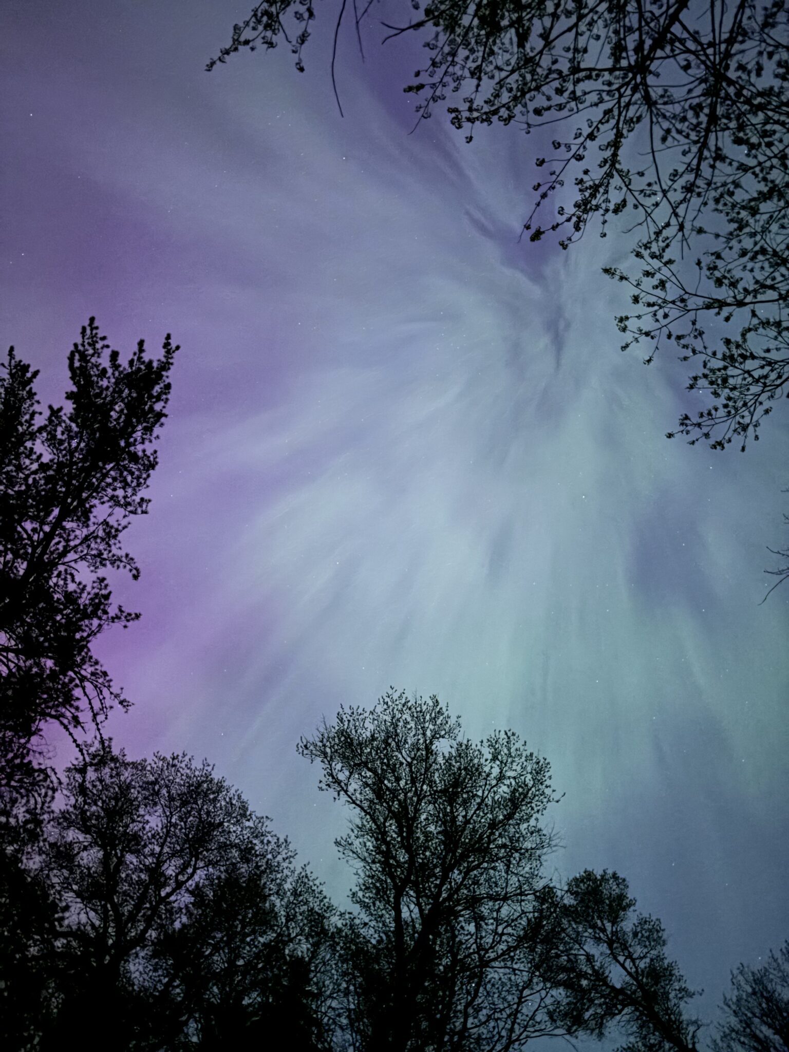 Former Nome Residents Get a Glimpse of Home as Aurora Reaches Lower 48 ...